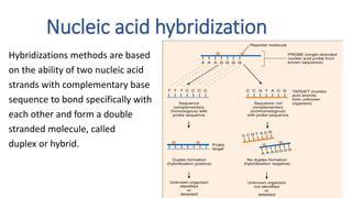 MOLECULAR MICROBIOLOGY.pptx