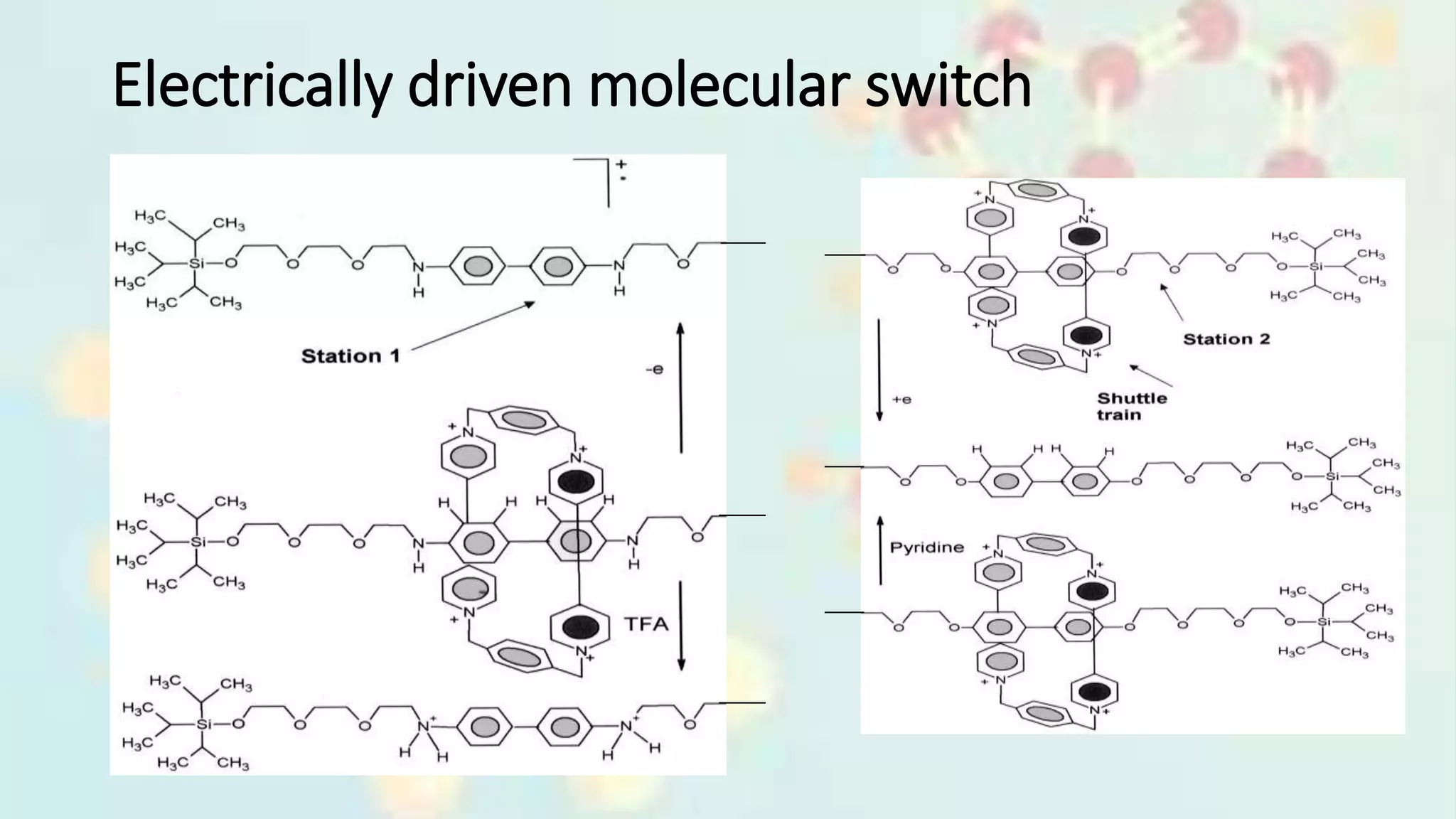 MOLECULAR MIMICS.pptx