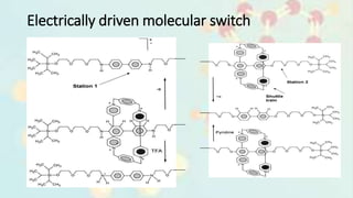 MOLECULAR MIMICS.pptx