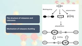 MOLECULAR MIMICS.pptx