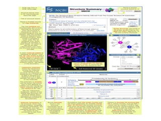 Molecular modeling database | PDF