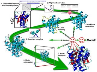 Molecular modelling (1) | PPTX