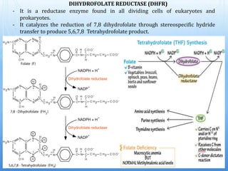 Molecular modelling and dcoking.pptx