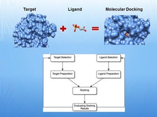 Molecular modelling and dcoking.pptx