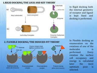 Molecular modelling and dcoking.pptx