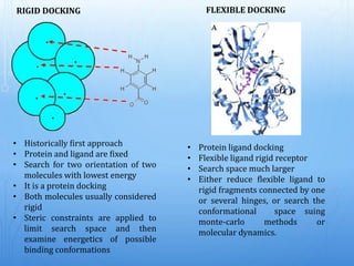 Molecular modelling and dcoking.pptx