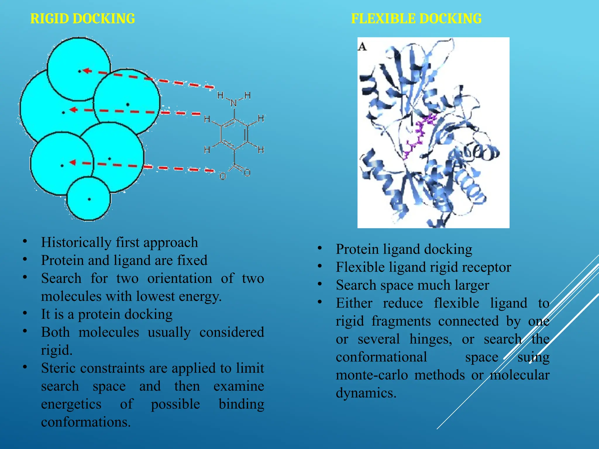 Molecular modelling and docking in CADD.pptx