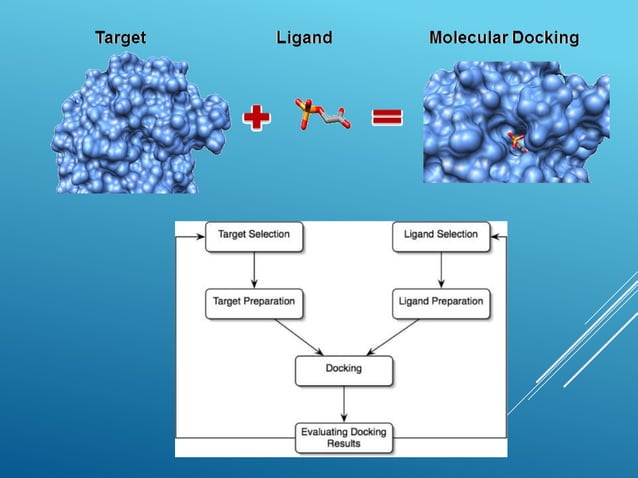 Molecular modelling and docking in CADD.pptx