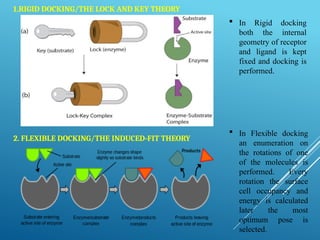 Molecular modelling and docking in CADD.pptx