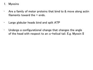 MolecularMotors.ppt | Biological Sciences | Science