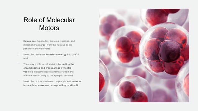 Molecular Motors, its introduction, types, basic components, animation ...