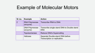 Molecular Motors, its introduction, types, basic components, animation to understand, regulation ...
