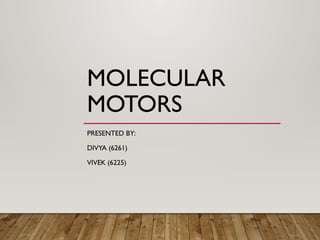 BioMolecular Motors, it's classification and their functions | PPT