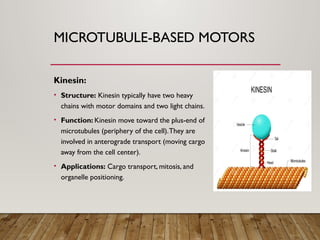 BioMolecular Motors, it's classification and their functions | PPTX
