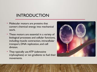 BioMolecular Motors, it's classification and their functions | PPT