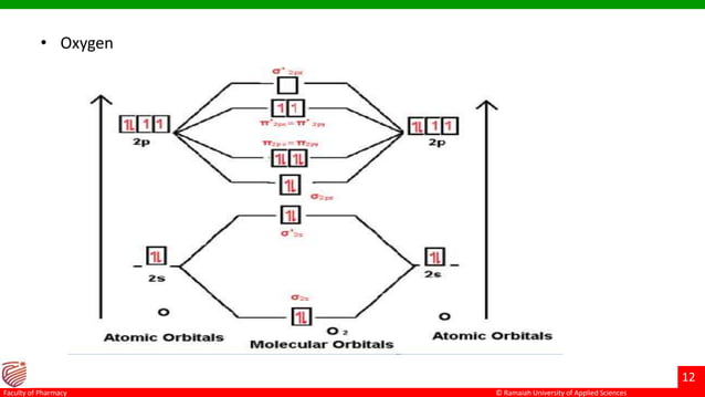 Molecular orbital theory | PPTX | Chemistry | Science