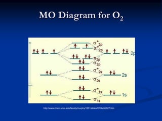 molecular_orbital_theory.ppt | Chemistry | Science