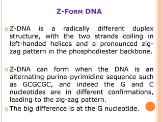 Molecular organization of eukaryotic DNA | PPTX
