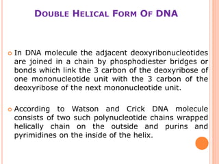 Molecular organization of eukaryotic DNA | PPTX