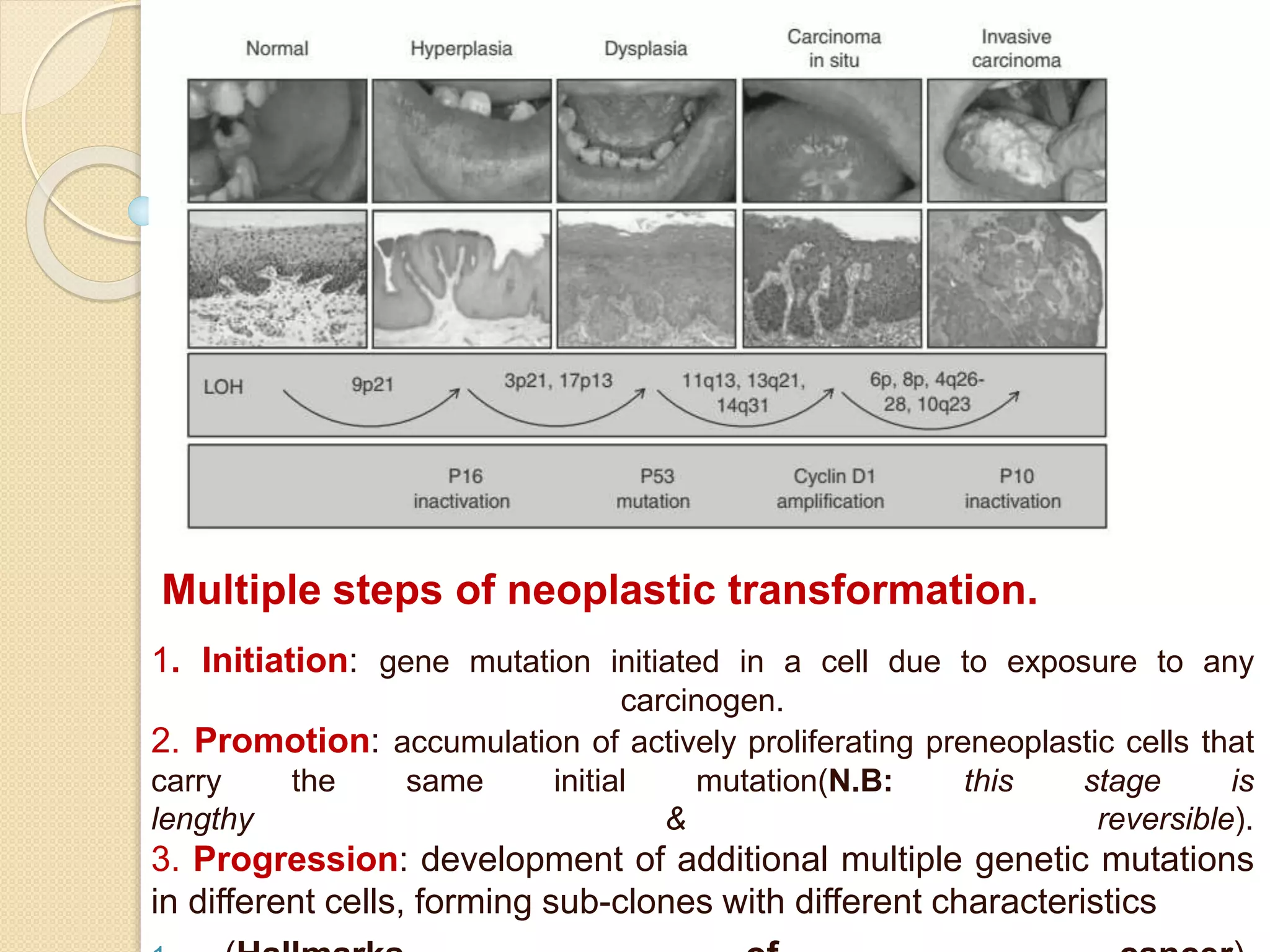 Molecular pathogenesis of head and neck cancer | PPTX
