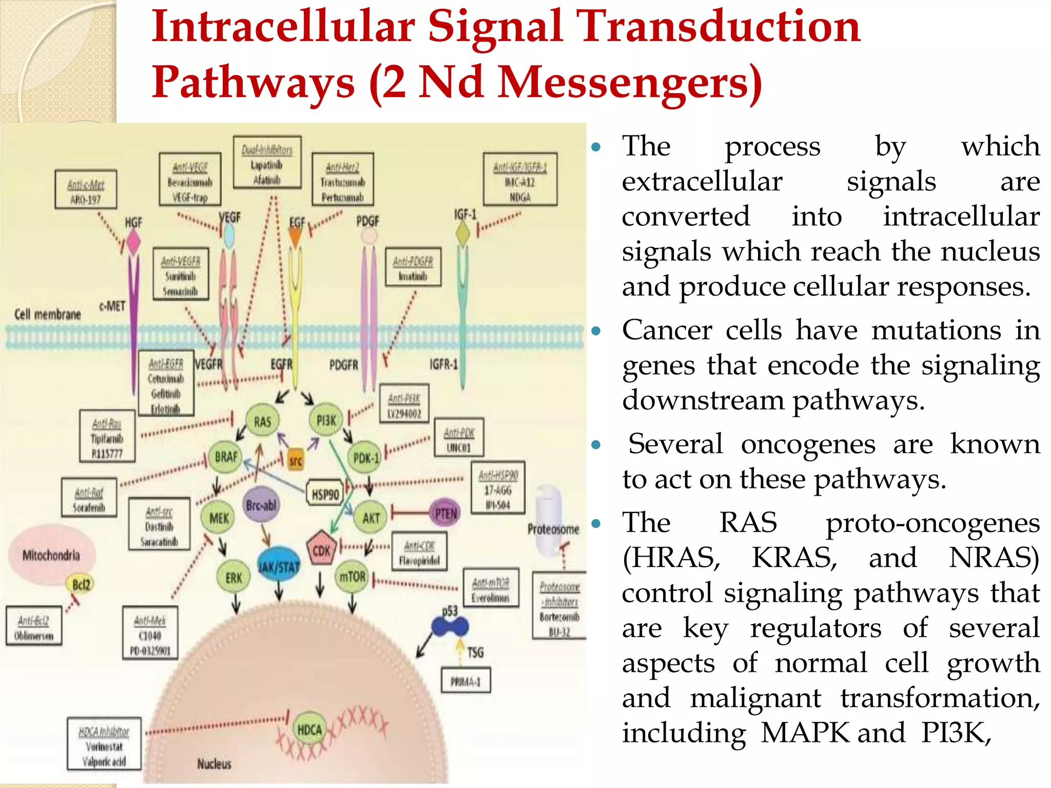 Molecular pathogenesis of head and neck cancer | PPTX