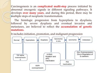 Molecular pathogenesis of head and neck cancer | PPTX