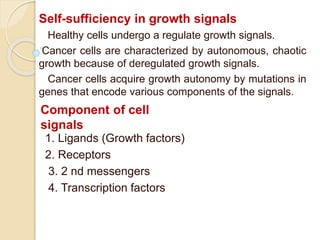 Molecular pathogenesis of head and neck cancer | PPTX