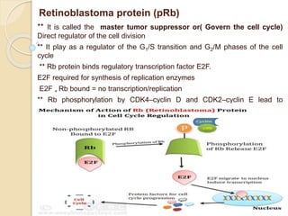 Molecular pathogenesis of head and neck cancer | PPTX
