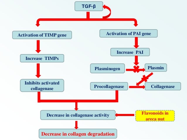 Molecular pathogenesis of oral submucous fibrosis