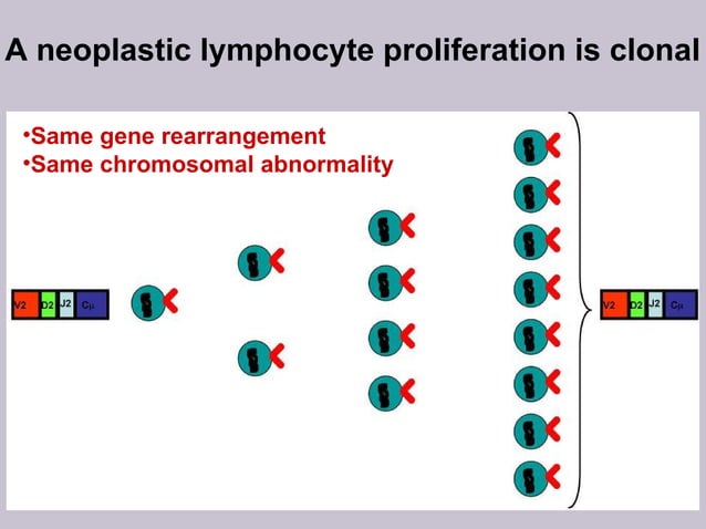 Molecular pathology of lymphoma by dr ramesh | PPT
