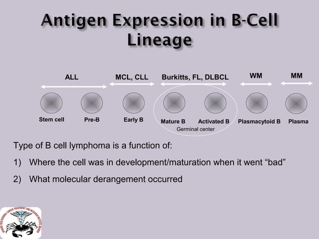Molecular pathology of lymphoma by dr ramesh | PPT