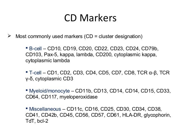 Molecular pathology of lymphoma by dr ramesh