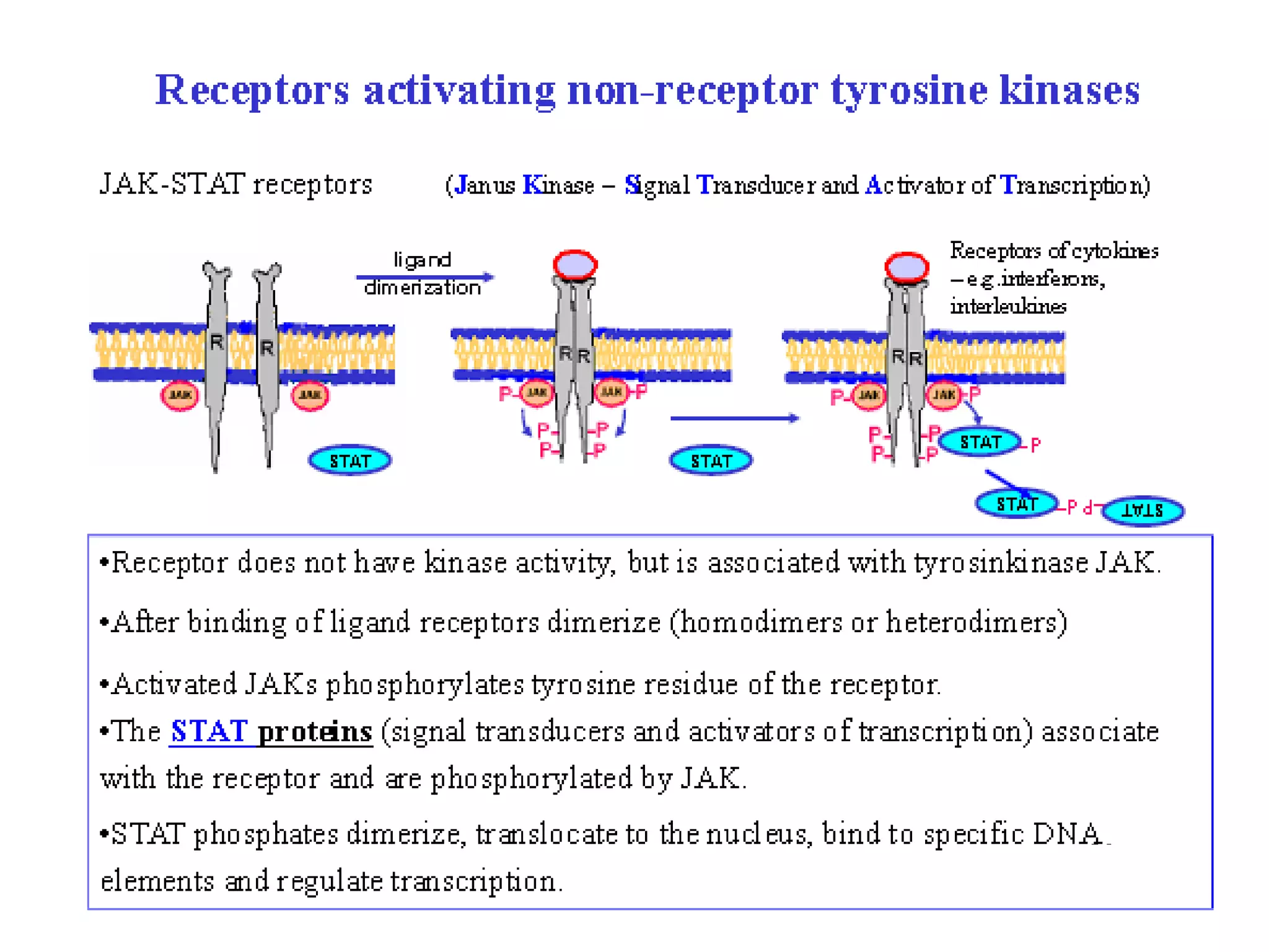 Molecular pharmacology of cell signling | PPTX