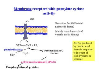 Molecular pharmacology of cell signling | PPTX