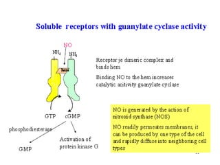 Molecular pharmacology of cell signling | PPTX