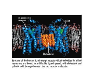 Molecular pharmacology of cell signling | PPTX