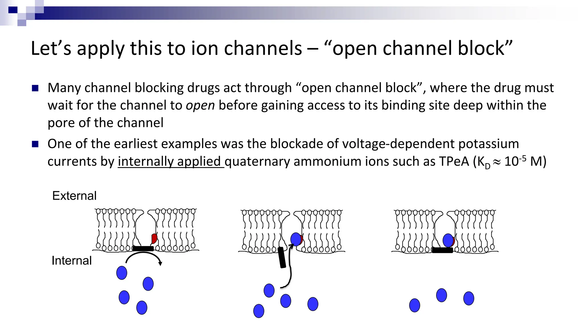 Molecular Pharmacology of voltage gated ion channels | PPT