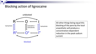 Molecular Pharmacology of voltage gated ion channels | PPT