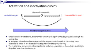 Molecular Pharmacology of voltage gated ion channels | PPT