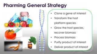 Molecular pharming | PPTX
