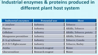 Molecular pharming | PPTX