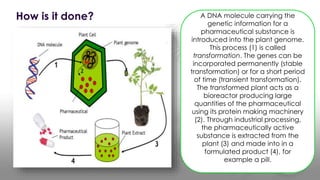 Molecular pharming | PPTX