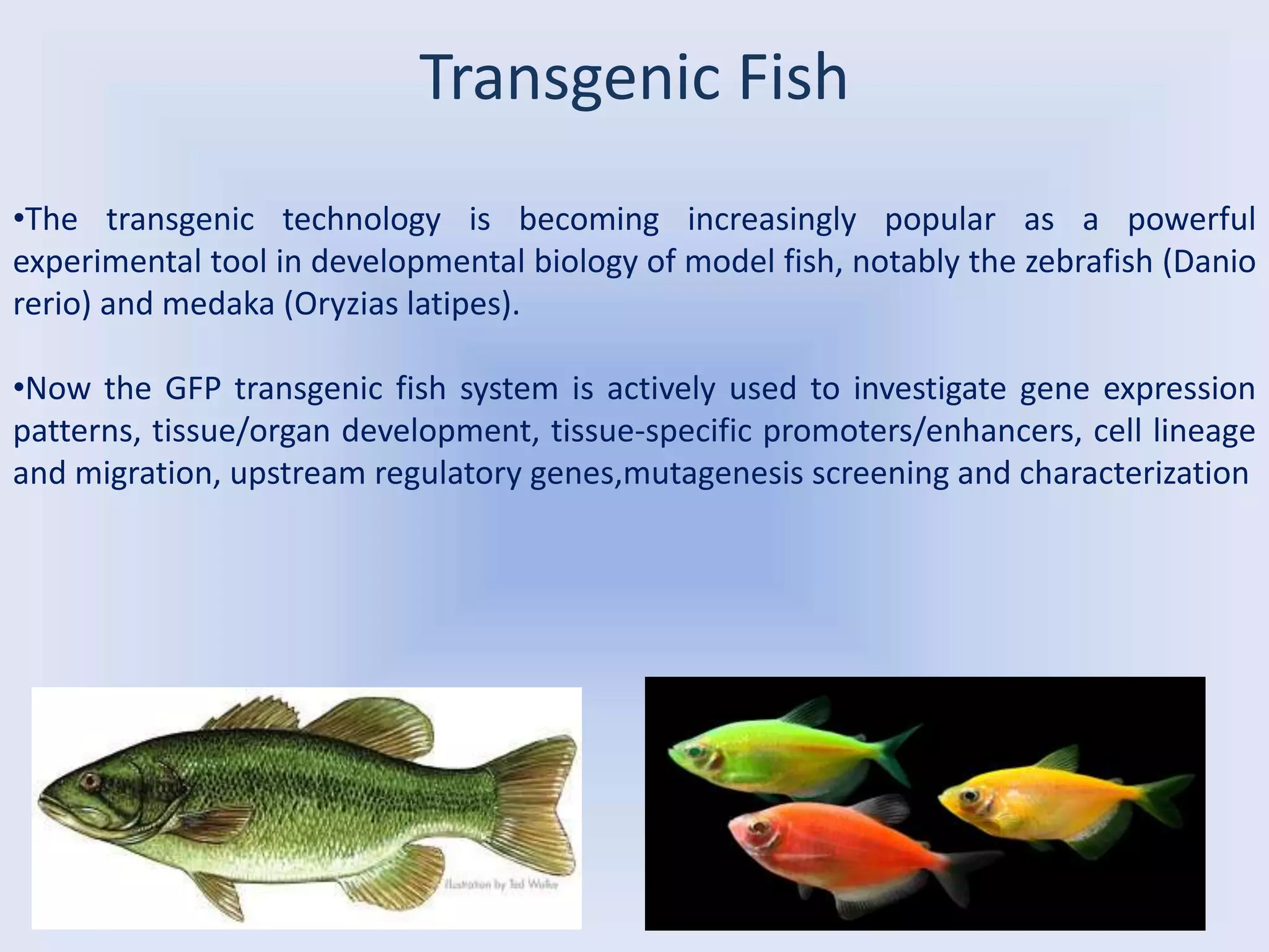 Molecular pharming | PPTX