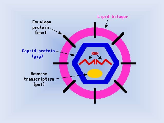 Molecular pharming | PPTX
