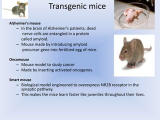 Molecular pharming | PPTX