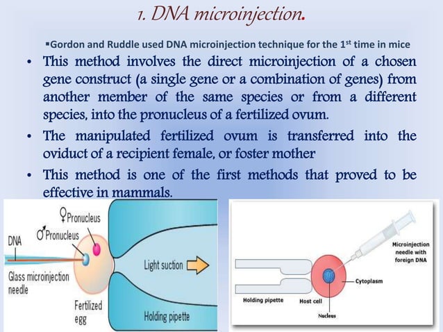 Molecular pharming | PPTX
