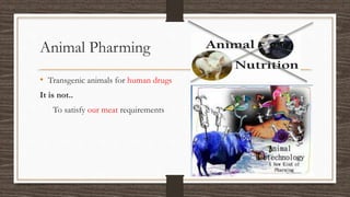 Molecular pharming | PPTX