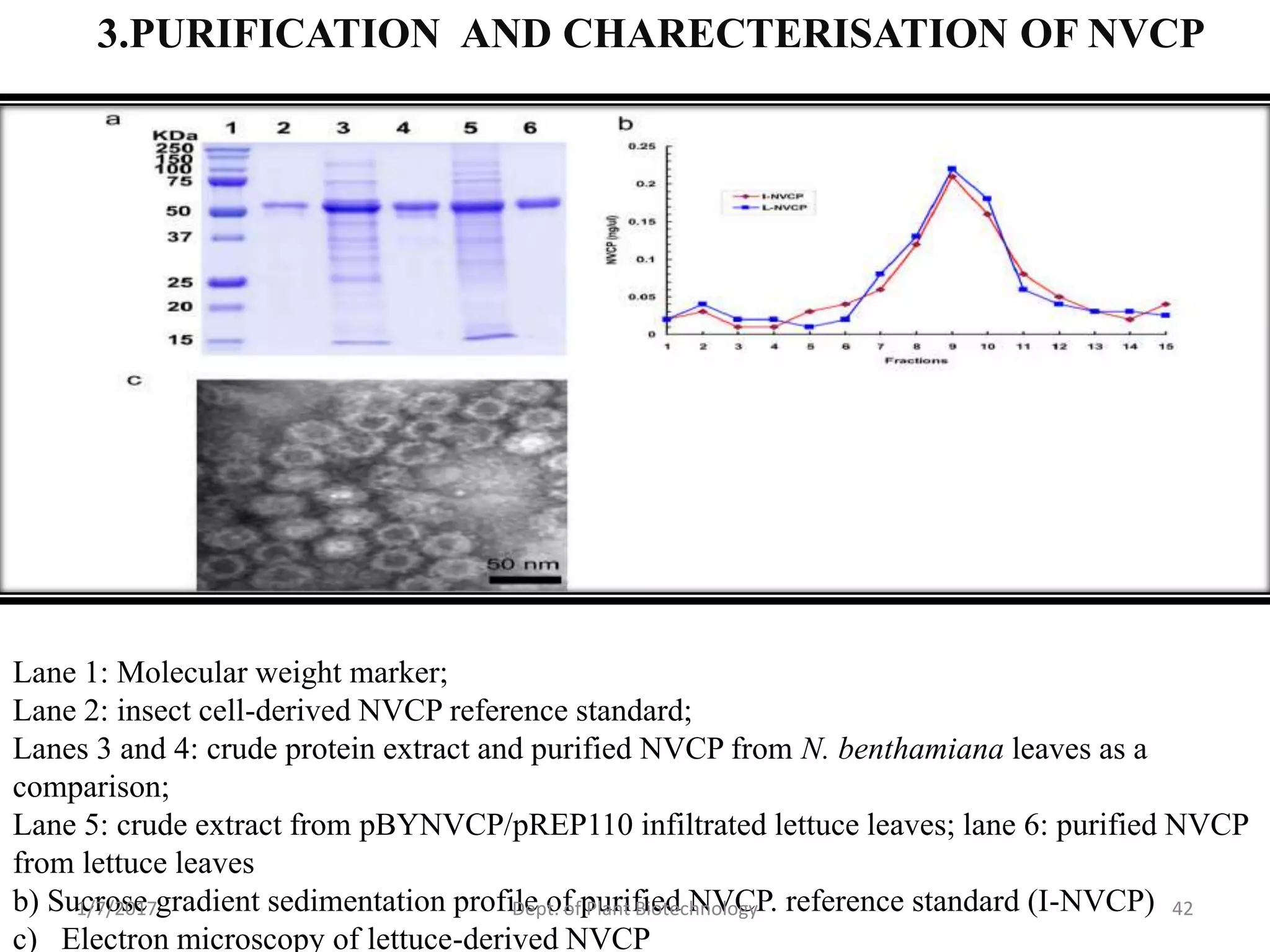 Molecular pharming | PPTX