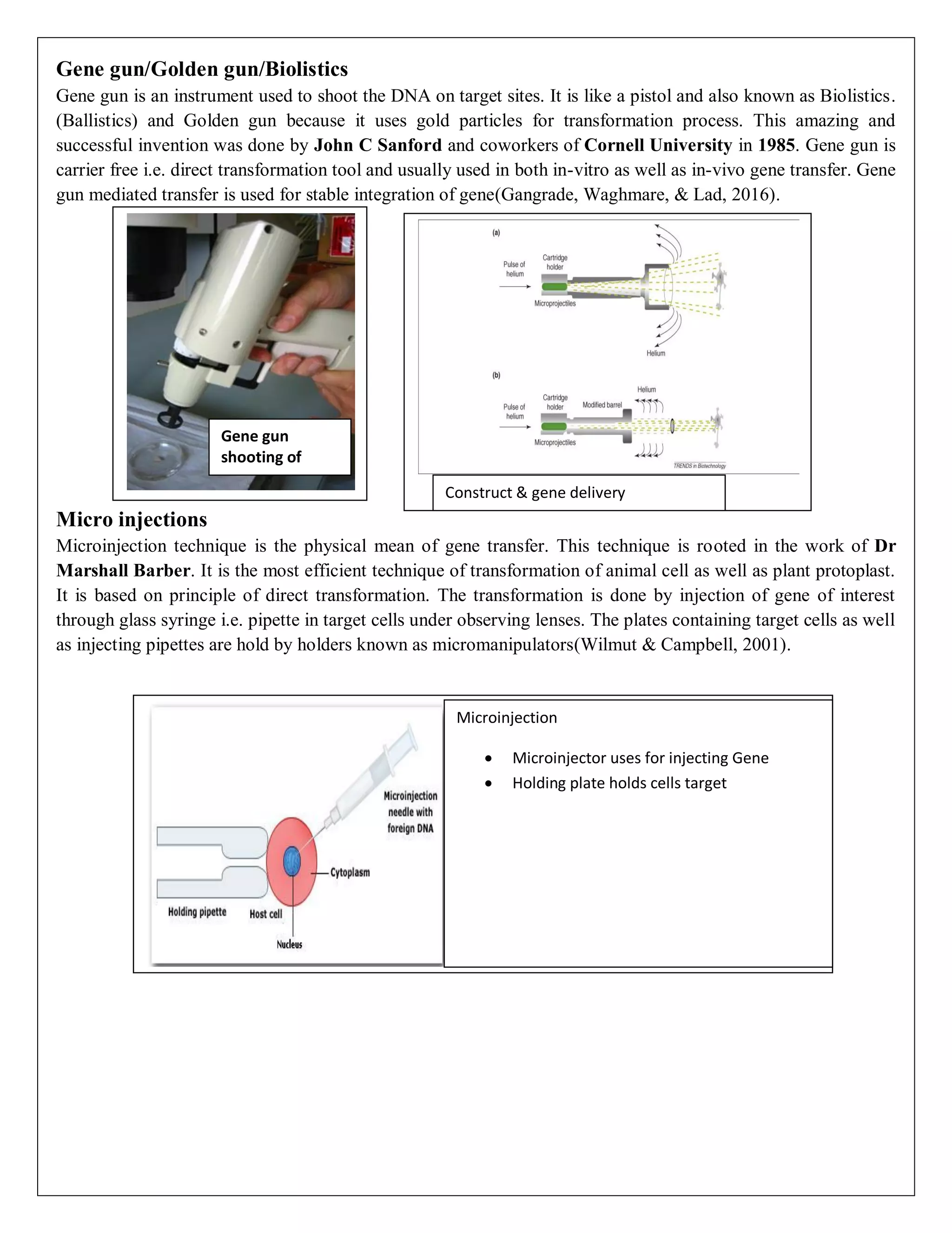 Molecular pharming | PDF