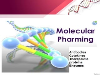 Molecular pharming | PPTX